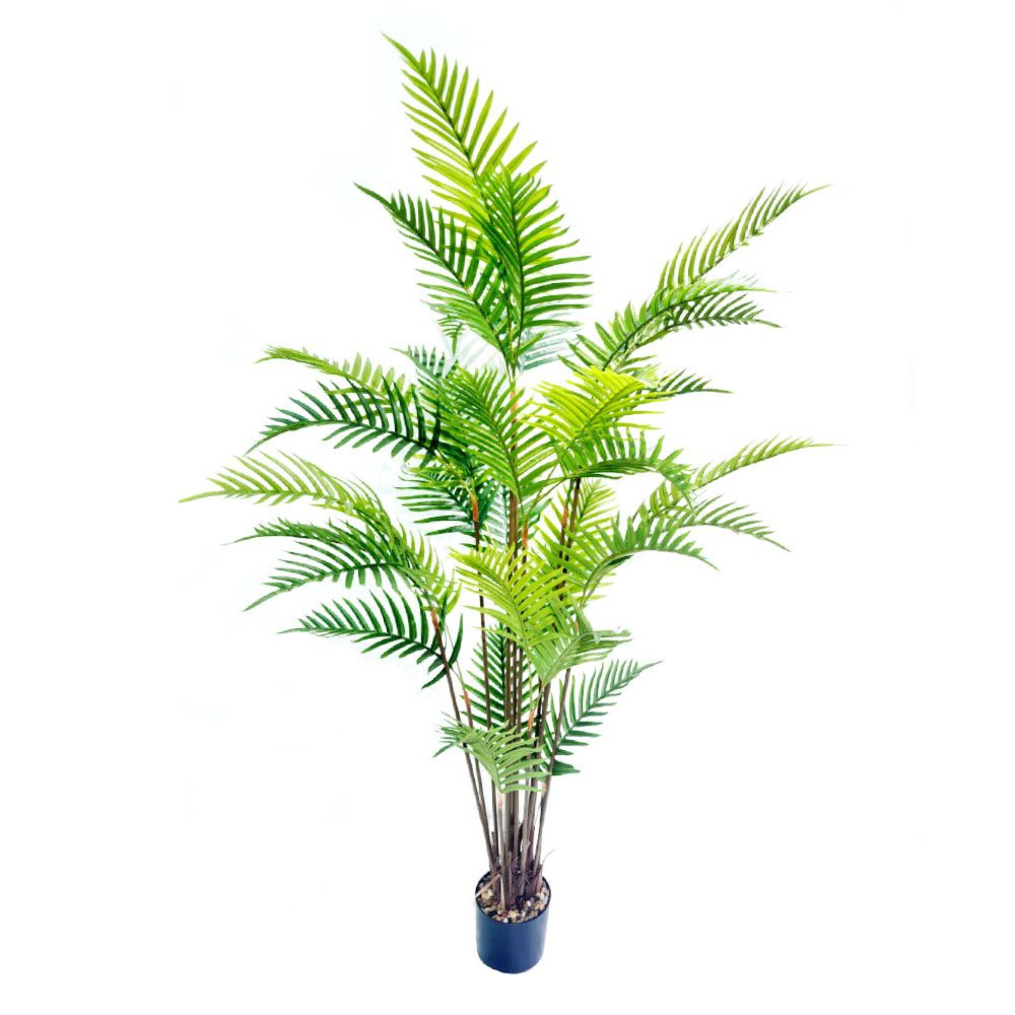 PEARL MALLOW TREE GREEN PVC – Collection in Cyprus | Four Day Clearance